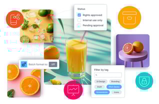 Orange Logic Blog | Insights on DAM Platforms & Software Trends