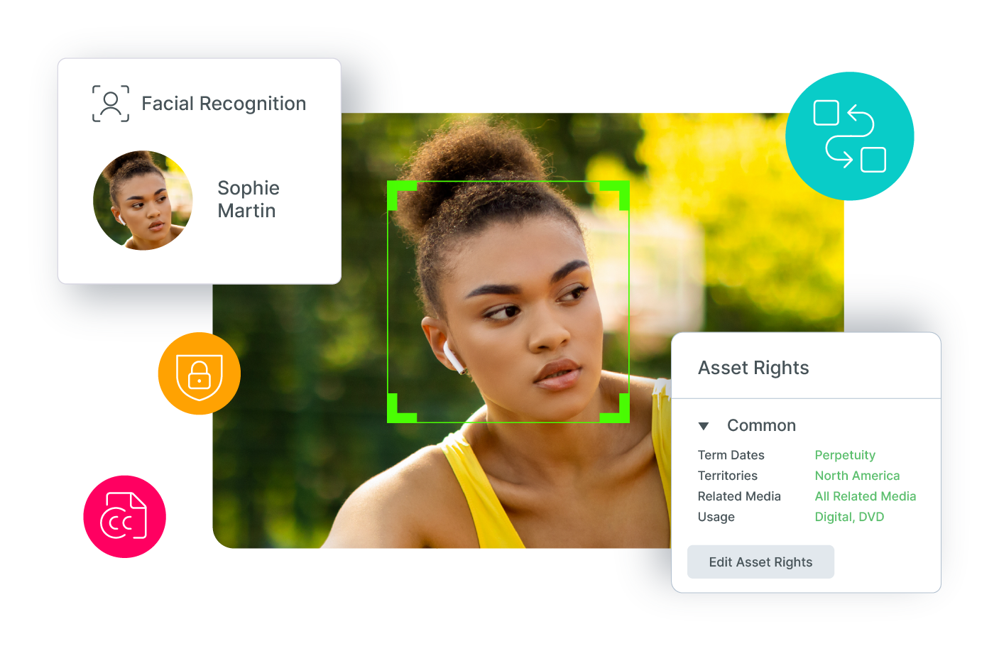 Digital Asset Management (DAM) Software
